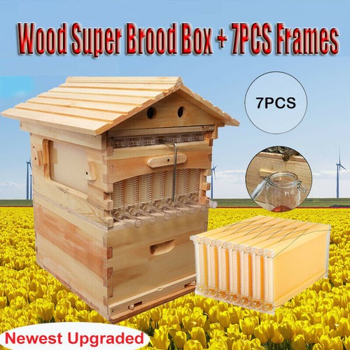 Wooden Bee Hive Auto Beekeeping Honey Boxes Hives House 7x Bee Boxes ...
