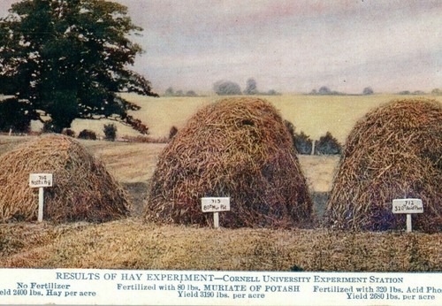 c1910 Fertilizer Advertising hay Forming German Kali Works New York NY ...