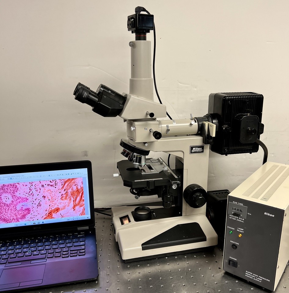 Nikon Optiphot Fluorescence Trinocular Microscope | eBay