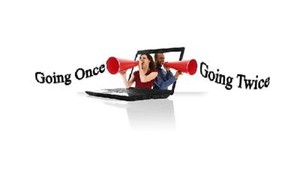 Going Once Going Twice Tampa | eBay Stores