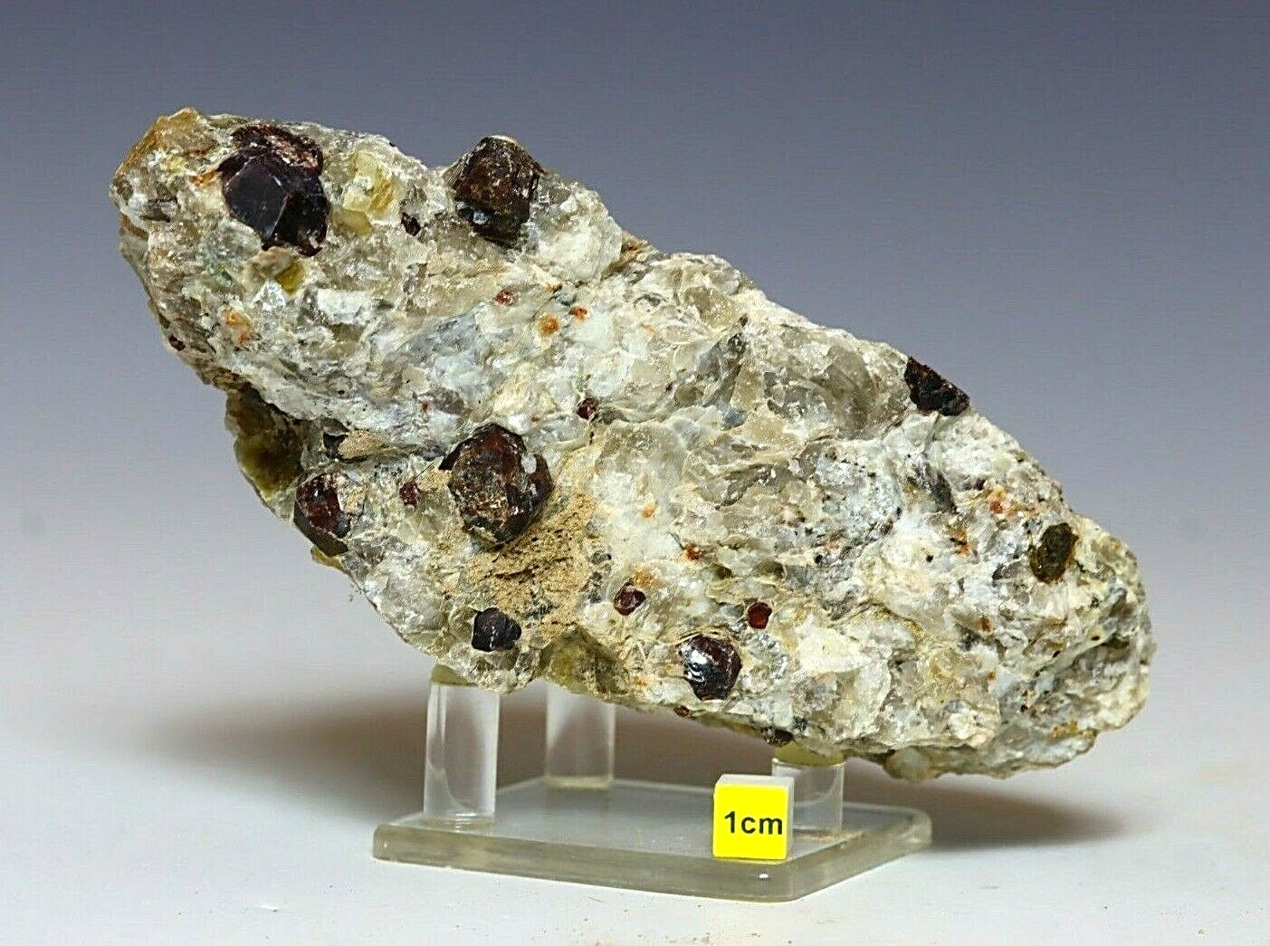 Almandine / Almandite Garnets in Matrix Large Raw Natural Mineral ...