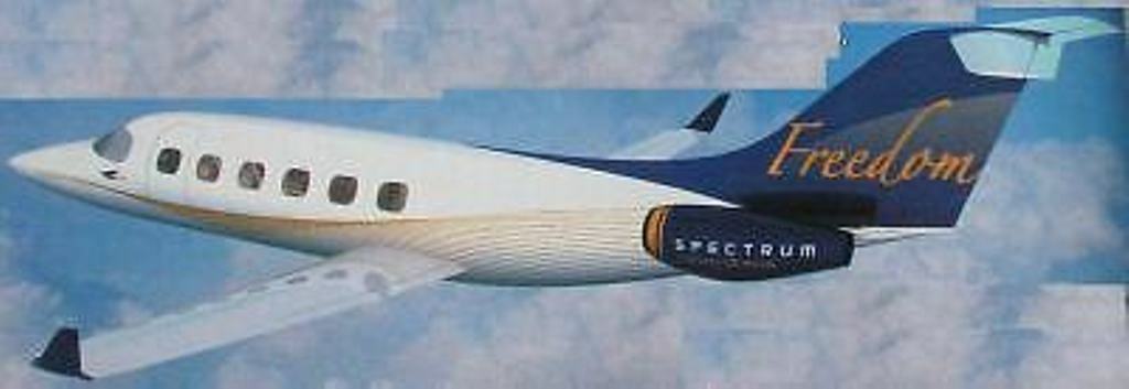 Spectrum S-40 Freedom S40 Jet Airplane Wood Model Big | eBay