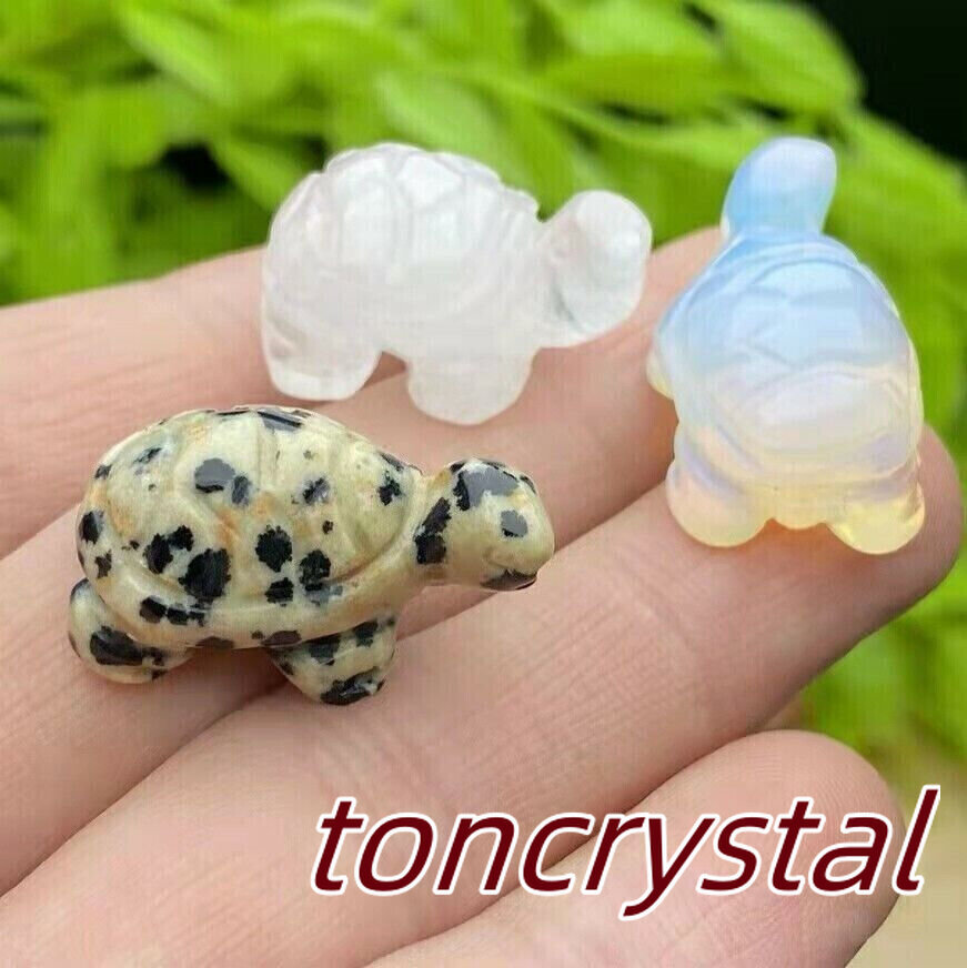 5pcs Mixed Natural Quartz Crystal Tortoise Carved Turtle Skull Healing ...