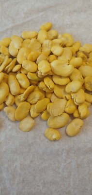 Bulk Peeled Fava Beans 4 lb Habas Beans Gluten Free Dried Beans | eBay