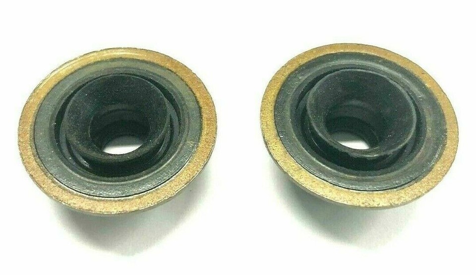 .040 ENGINE REBUILD KIT & RODS FIT OPPOSED TWIN CYLINDER BRIGGS ...