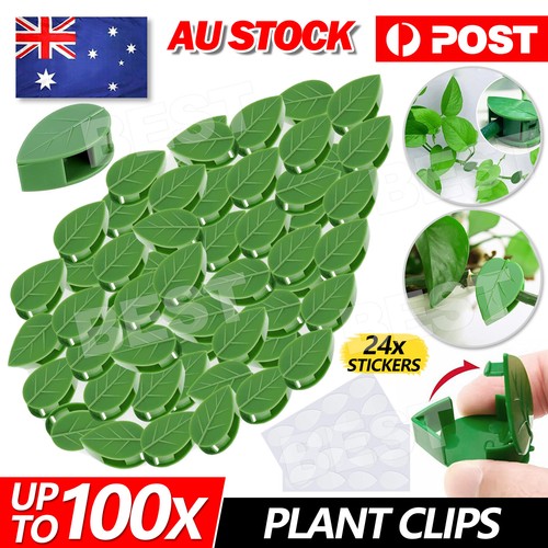 Invisible Plant Climbing Wall Clip Pothos Vine Ratten Fixt Sticky Hook ...