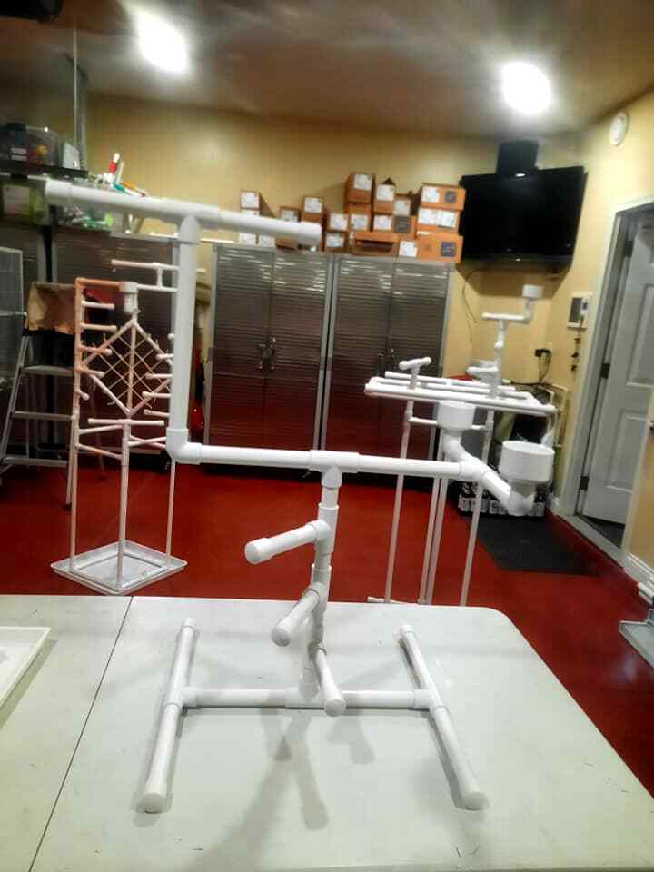 Large 3/4" PVC Parrot Perch Play Gym Stand Birds Love Them! | eBay