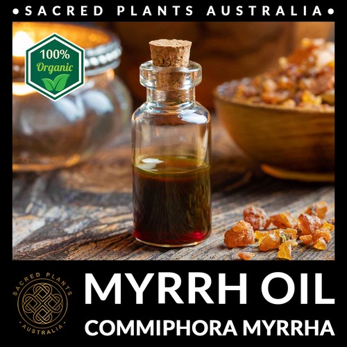 MYRRH Oil Commiphora Myrrha Shaman Medicinal Sacred Exotic Rare Skin ...