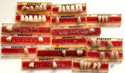 vtg DENTURE TEETH LOT false tooth set Dentavit Dentorium dentist ...