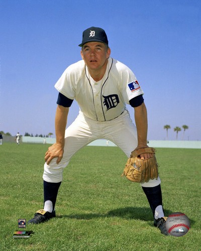 Mickey Stanley Detroit Tiger 8x10 Photo Picture Print #2361 | eBay