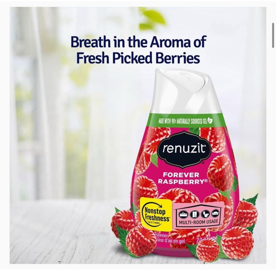 Renuzit Forever Raspberry 12/pk | eBay
