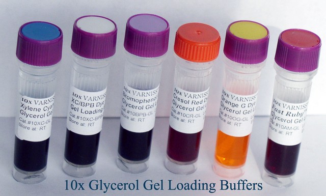 DNA Gel Loading Buffer: 10x Bromophenol Blue 1 mL | eBay