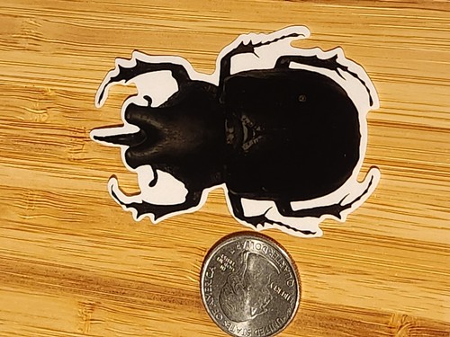 🪳BEETLE Sticker Insect Sticker Bug Sticker Bugs Insects Creepy Nature ...