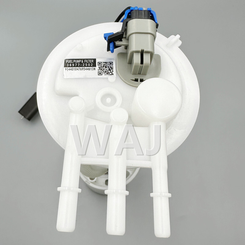 WAJ Fuel Pump Module W0013952 Fits For Workhorse RV W16, W18, W22, W24 ...