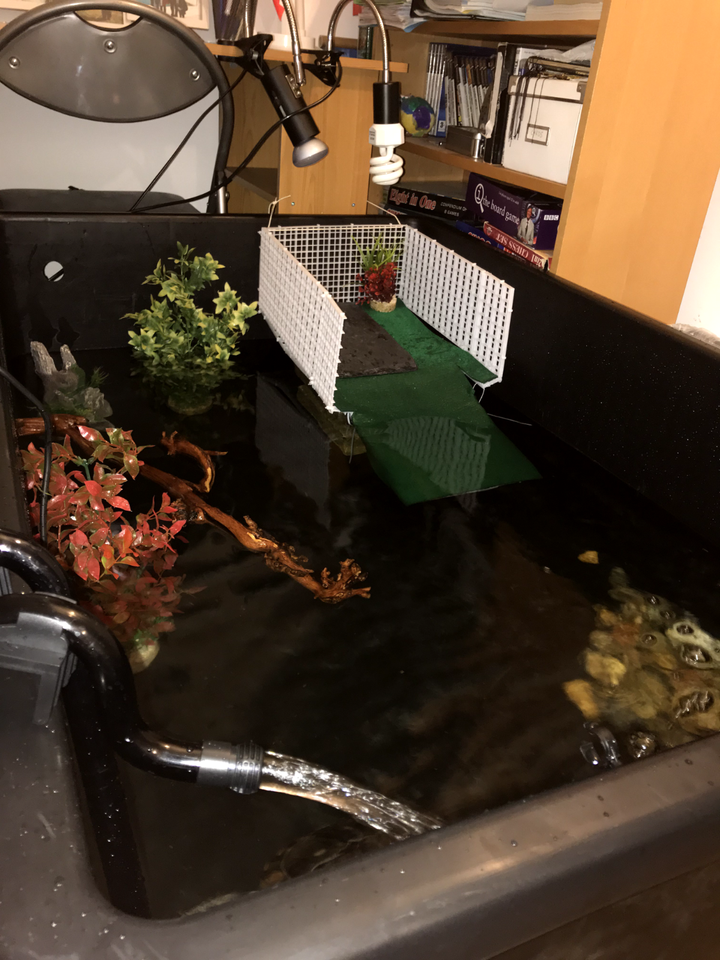 Laguna Rectangular pond tub- 470L /100 Gal - Black - Fish pond tank- in ...