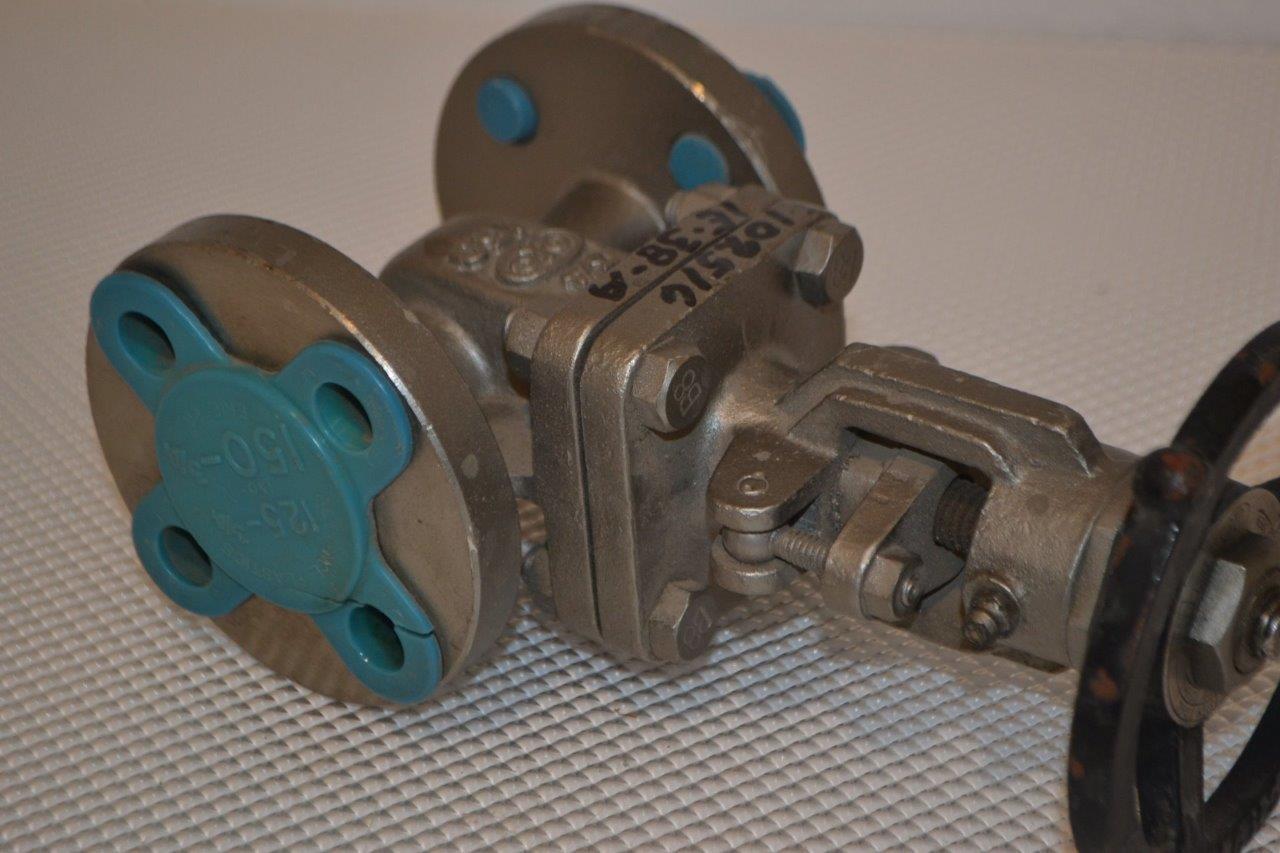 ONE NEW NEWMANS OIC 3/4" GATE VALVE FIG #S151 CF8M. | eBay