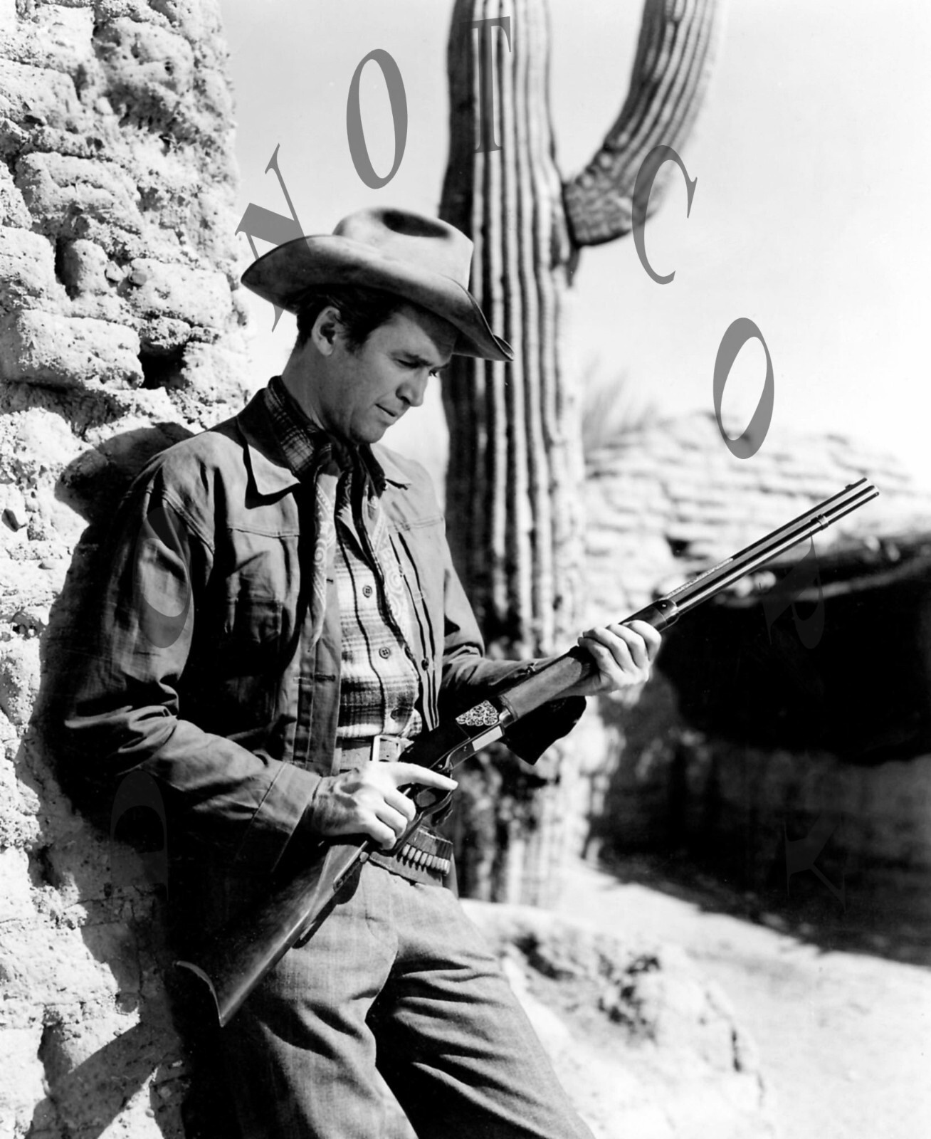 ANTIQUE REPRO 8X10 PHOTOGRAPH JIMMY JAMES STEWART WINCHESTER 73 RIFLE ...