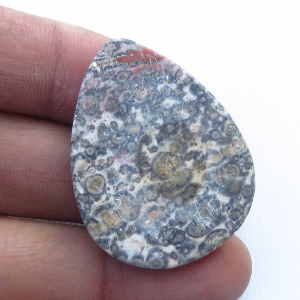 Skin Jasper Pear Smooth Gems 35x27 mm Natural skin Leopard Cabochon 41 ...