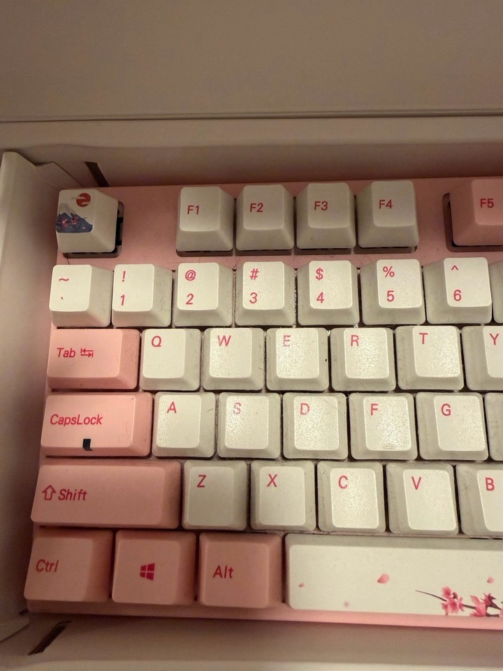 Varmilo VA87M Sakura Pink LED TKL Mechanical Keyboard Cherry MX Silent ...