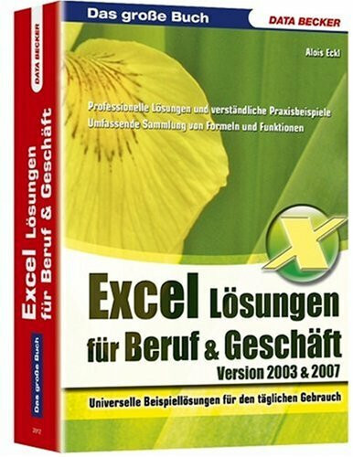 Excel Lösungen für Beruf & Geschäft Buch Data Becker | eBay