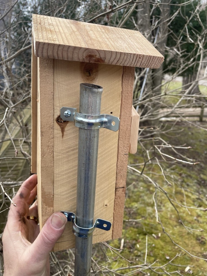 CEDAR SALTBOX STYLE BIRD HOUSE W PREDATOR GUARD SONGBIRD CHICKADEE WREN ...