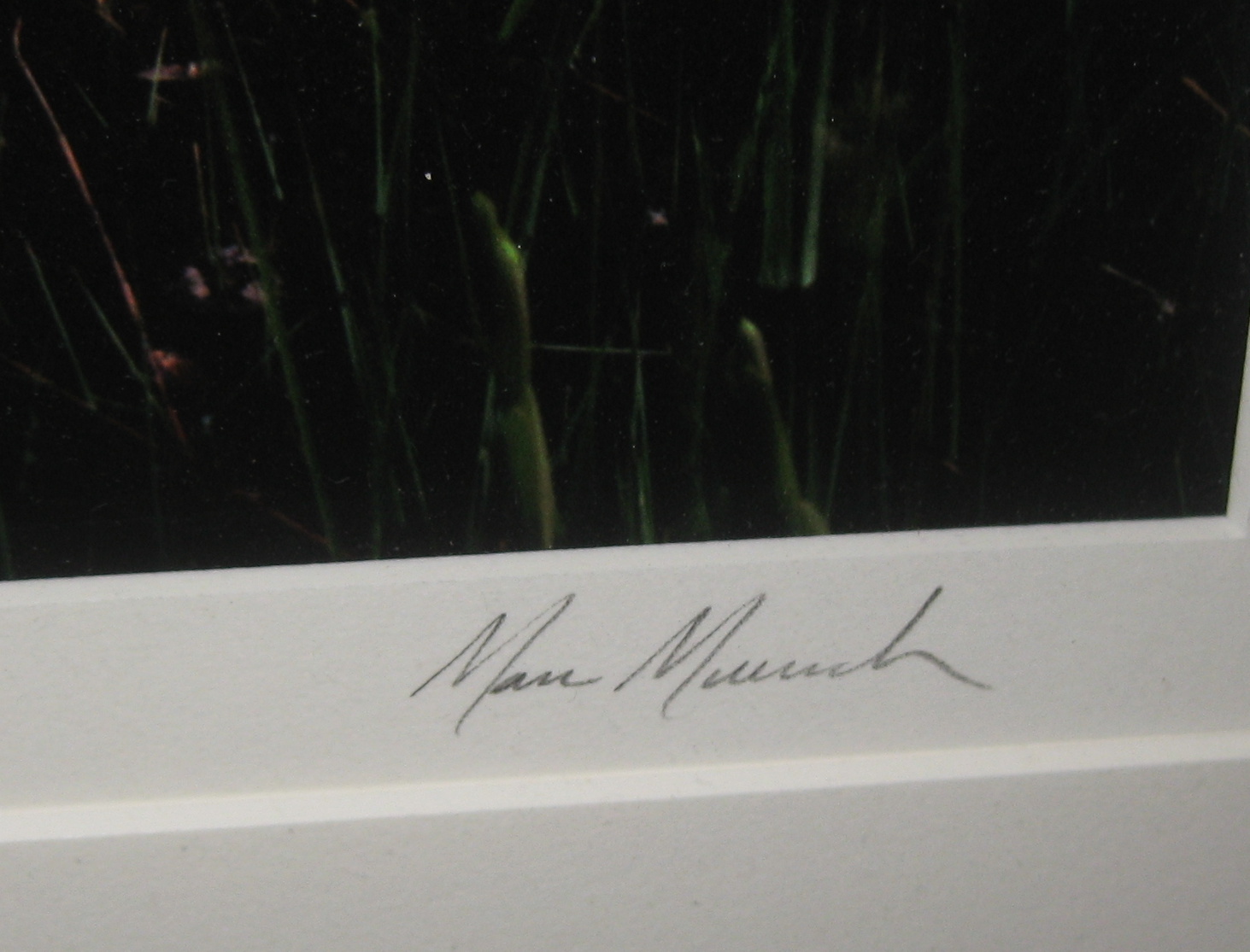 Fine MARC MUENCH 'El Capitan Reflections' YOSEMITE SIGNED PHOTOGRAPH ...