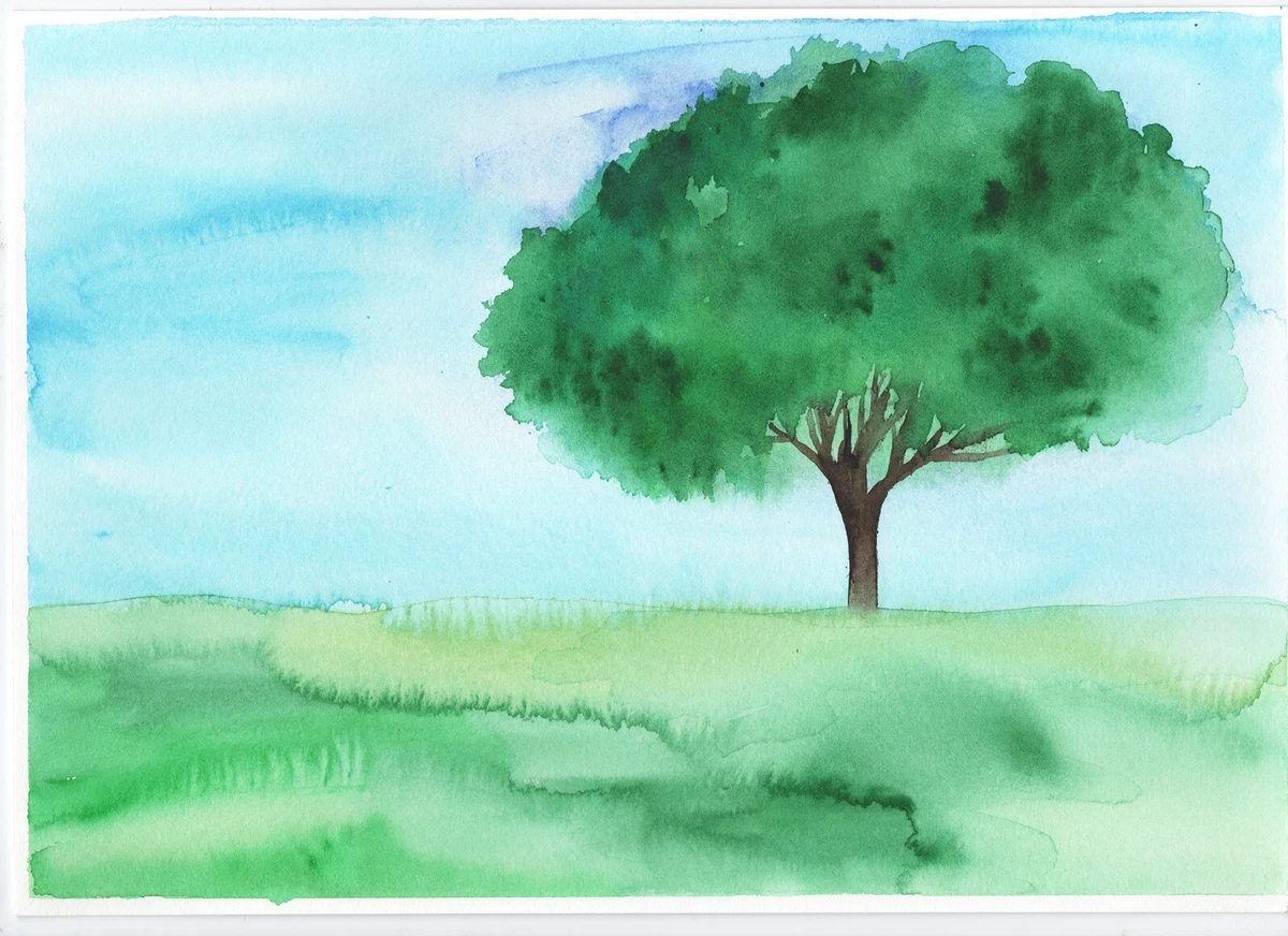 Water Paintings Of Nature For Beginners