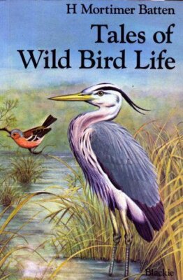 Tales of Wild Bird Life by Batten, H.Mortimer Book The Fast Free ...
