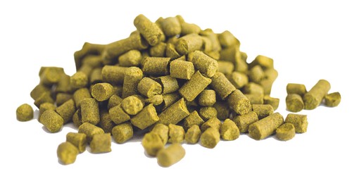 Hops Pellets - CITRA - 100g | eBay