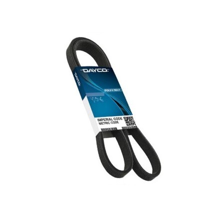 Dayco 5060885 Poly Rib Belt, Dayco 38244096206 | eBay