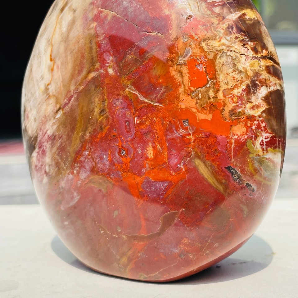 2.55LB Natural Red Petrified Wood Fossil Crystal Landscape Stone ...