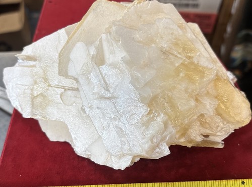 angel wing calcite 2 Pounds 4 Ounces | eBay