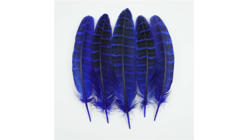 Natural Pheasant Tail Feathers, Fly Craft Decorations, Dyed Hat Art 10 ...