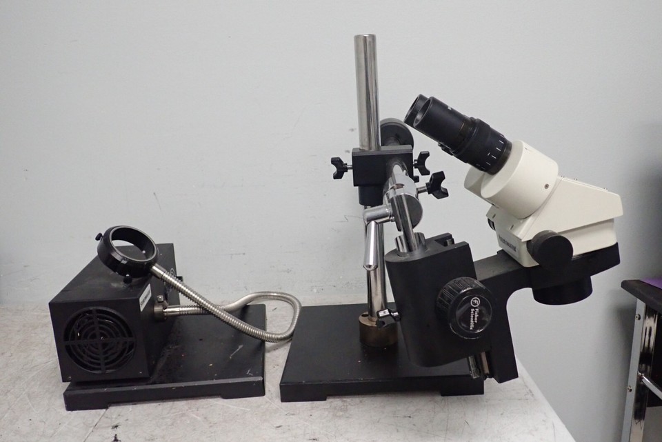 Fisher Scientific StereoMaster Zoom Microscope with Illuminated Boom ...