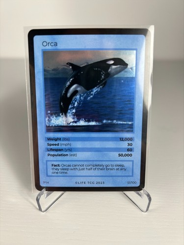 LIFE TCG 2023 CARD - ORCA - 51/100 - HOLO - 1st EDITION - MINT | eBay