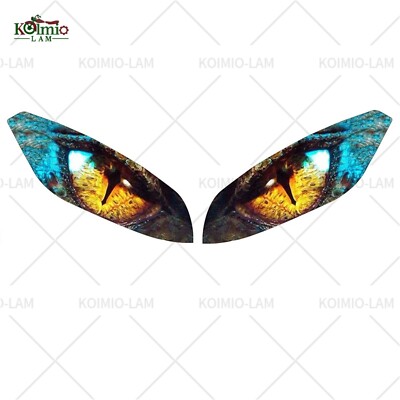 Fit for Yamaha YZF R3 2019 - 2023 Motorcycle Headlight Protector ...