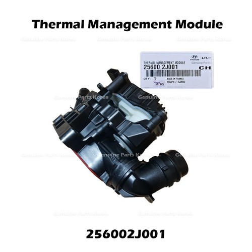 ⭐Genuine⭐ Thermal Management Module 256002J001 for Hyundai Sonata ...