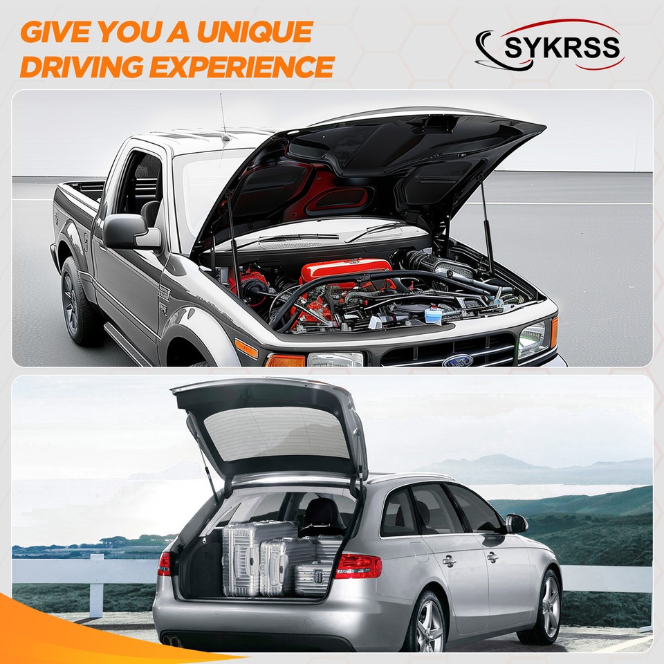 2x Front Hood Lift Supports Shocks Struts for Ford F-150 04-08 Lincoln ...