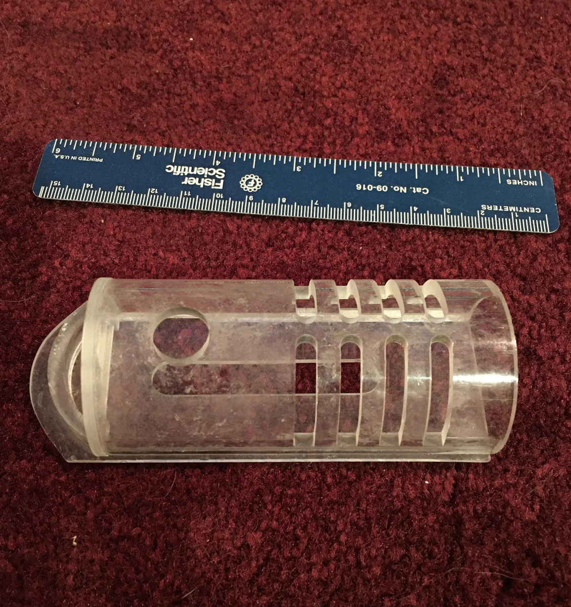 Transparent Lab Mice