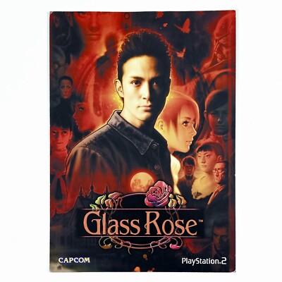 CAPCOM Original Retailer Merch Glass Rose A4 PlayStation 2 Poster | eBay