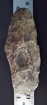 NATIVE AMERICAN INDIAN STONE KNIFE SCRAPER. OHIO CLOVIS FINE UNDAMAGED ...