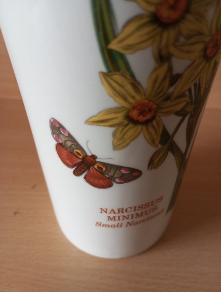 Portmeirion The Botanic Garden Narcissus Minimus Small Narcissus Latte ...
