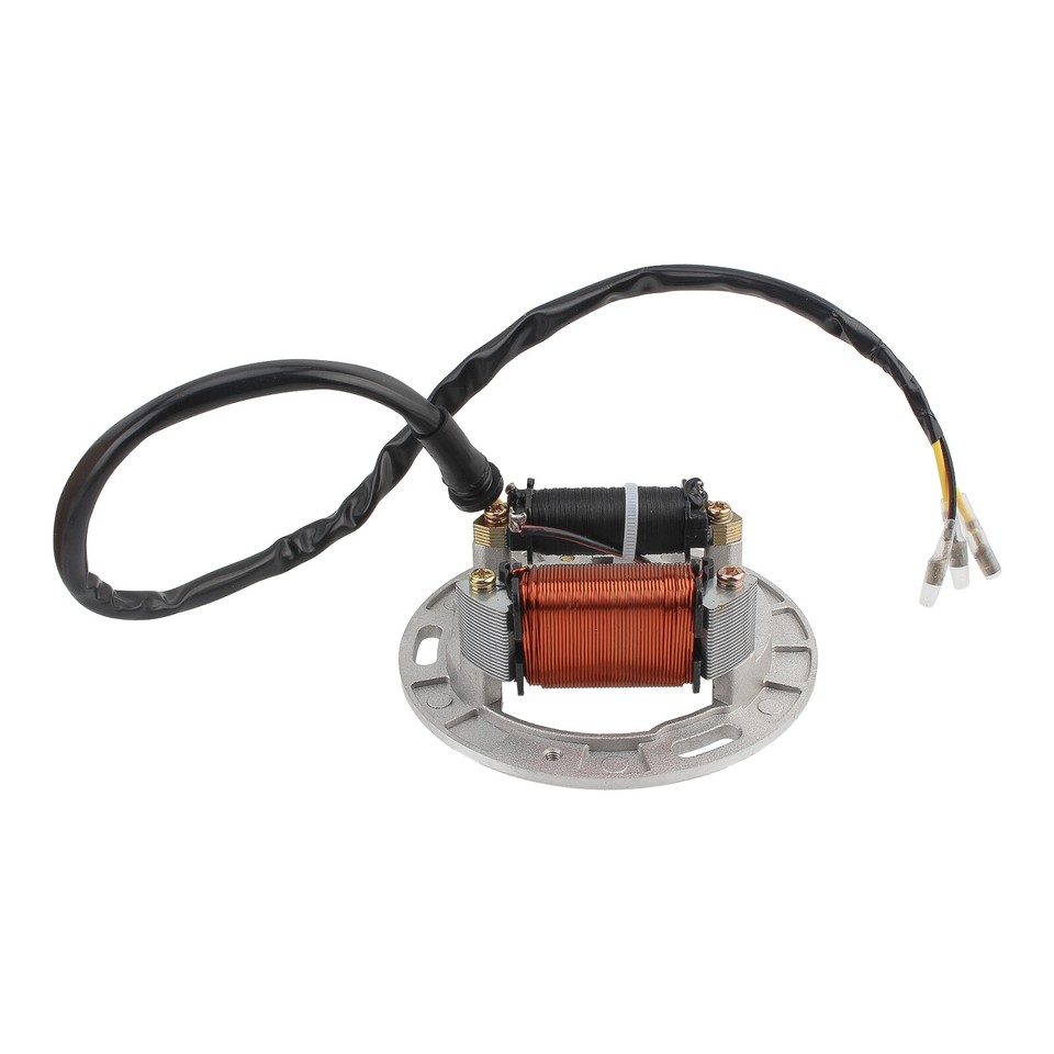 CDI Stator For Suzuki LT80 LT-80 QUAD SPORT 2000 2001 2002-2006 ATV | eBay