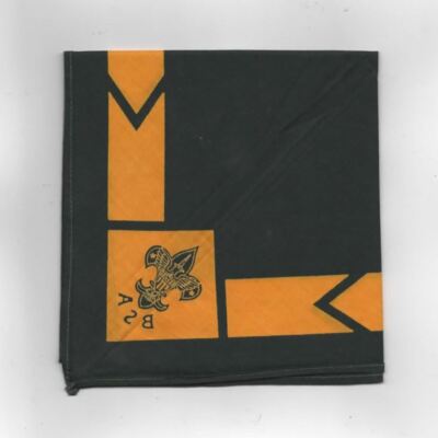 BSA Dark Green Yellow Neckerchief [NC-3187] | eBay