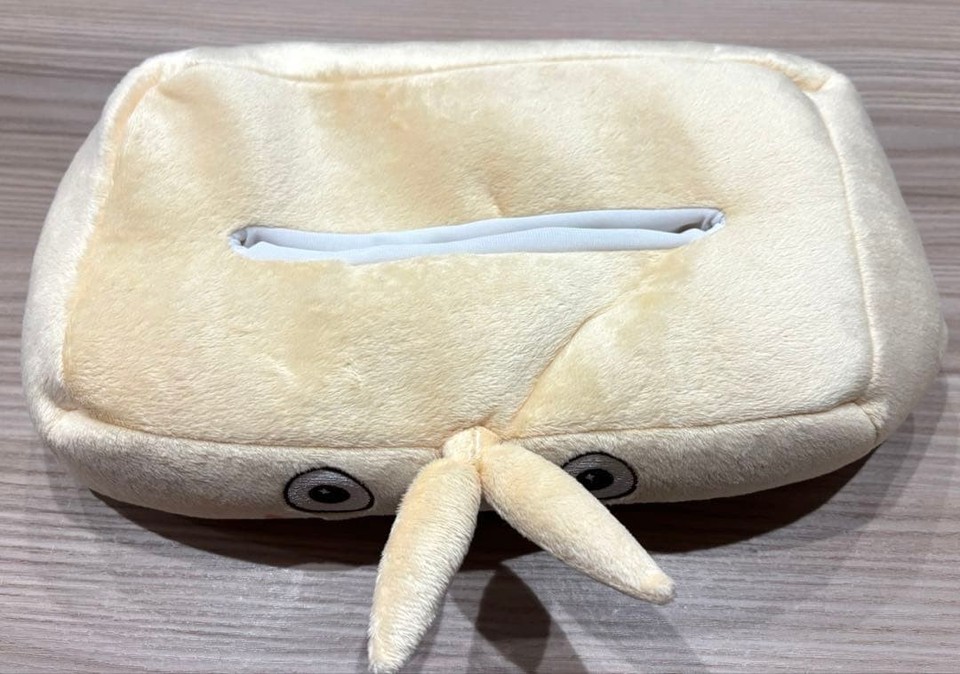 Usavich Face Tissue Cover | eBay