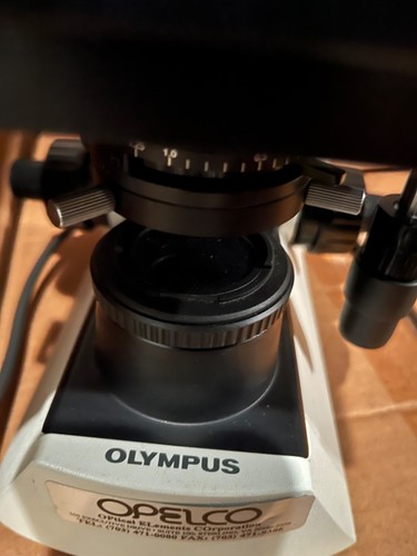 Olympus CX31 Upright Biological Microscope for sale online | eBay