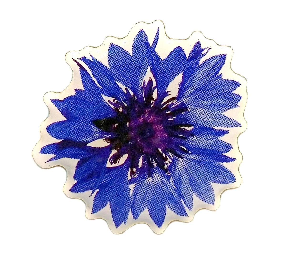 What Is The Official National Flower Of France | Best Flower Site