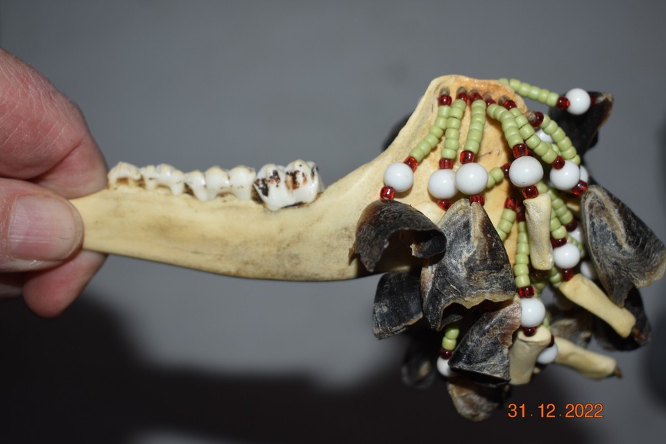 ORIG $399 POWERFUL INUIT deer JAW BONE RATTLE, 9" | eBay