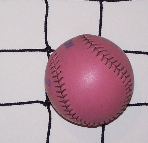 10' x 8' BASEBALL BLACK SQUARE NYLON SPORT PANEL HARD IMPACT NETTING 2 ...