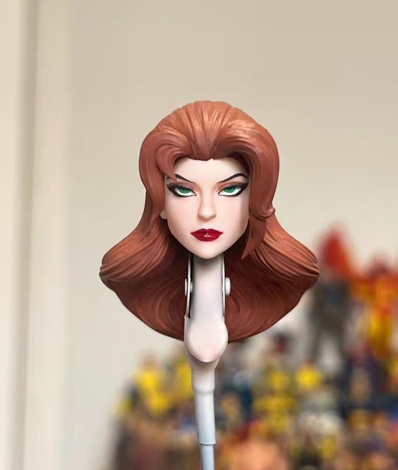1/12 Painted Comics Human Hawkgirl Head Carved Fit For 6inches Action ...